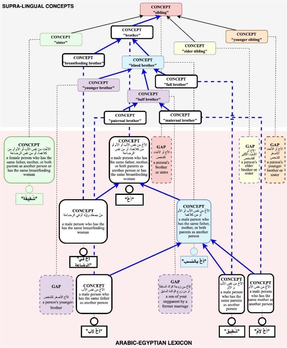 Expert-sourcing lexical diversity – DataScientia